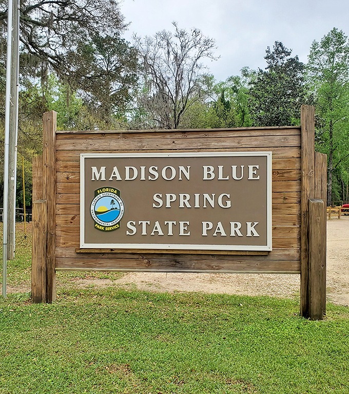 The park's entrance sign promises adventures that Instagram filters couldn't improve – "The Real Florida" isn't just a slogan, it's a guarantee.