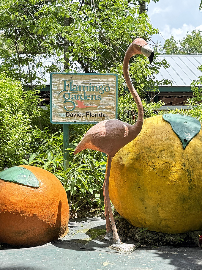 Whimsical and wonderful: The garden's signature flamingo stands proudly beside colorful fruit sculptures, setting the tone for the delightful oddities within.