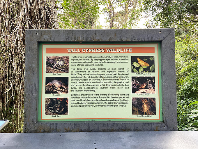 Educational signs share nature's secrets without the pop quiz, making learning feel suspiciously like fun.