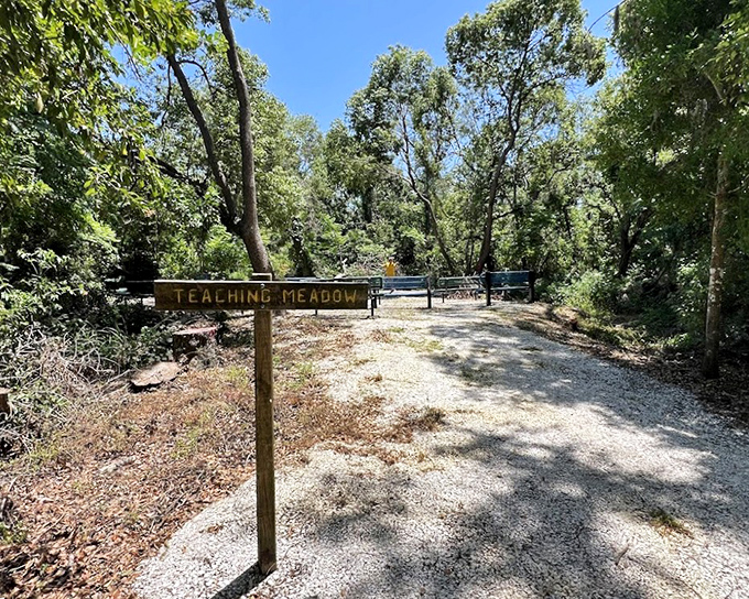 The "Teaching Meadow" transforms learning into adventure, where classroom walls are replaced by open sky and curious minds.