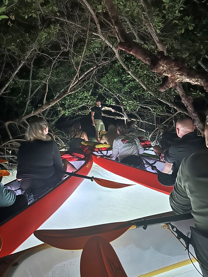 The mangroves: Nature's perfect symmetry reflects in glass-clear waters, creating a pathway that seems to lead straight into another dimension.