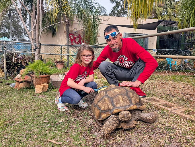 Tortoise: This gentle giant moves with the unhurried confidence of someone who measures life in centuries rather than minutes. Slow living at its finest!