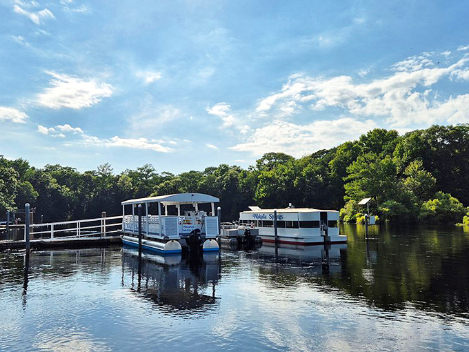 Your chariot awaits! These tour boats have been revealing Wakulla's secrets to wide-eyed visitors for generations.