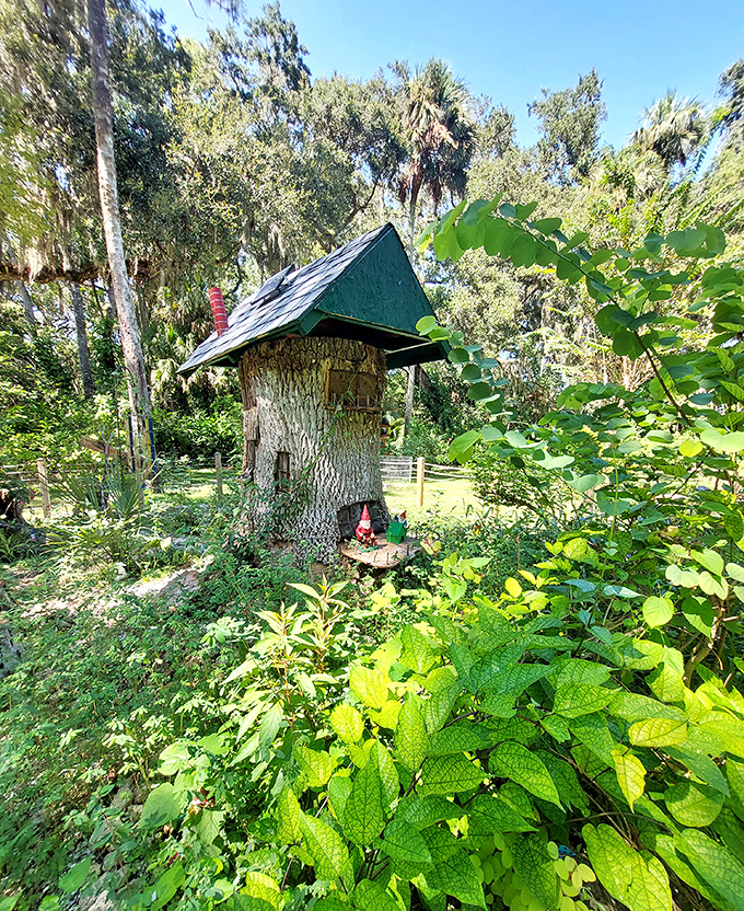 The majestic live oak that serves as the garden's centerpiece, its branches spreading wide enough to provide shade, atmosphere, and housing for an entire gnome population.