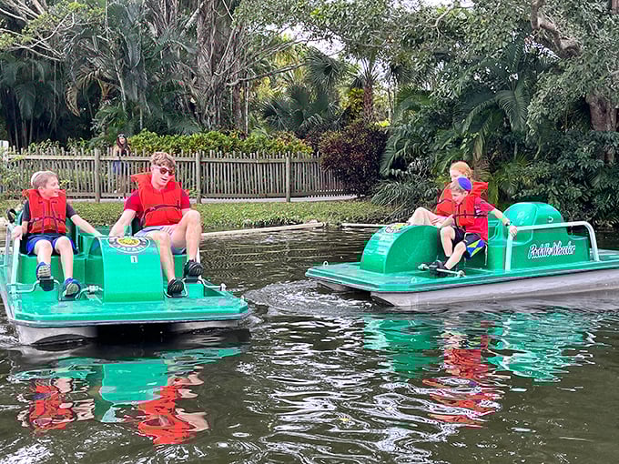 Paddle boat adventures await families looking to navigate the waters while spotting wildlife from a unique vantage point.