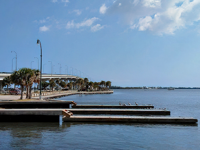 Where boats and birds share waterfront real estate, the causeway's edge offers front-row seats to nature's daily parade without admission fees.