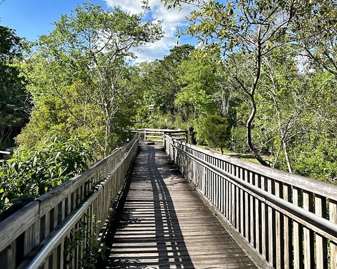 Sunlight creates dramatic shadows on this elevated boardwalk, where every step takes you deeper into Florida's wild heart.
