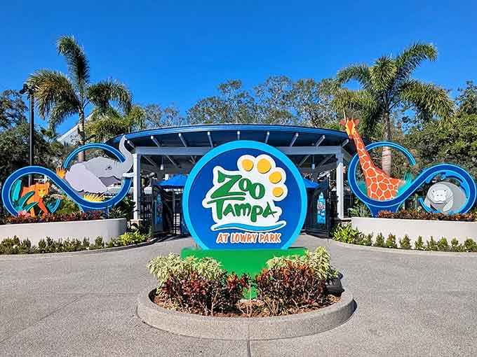 The ZooTampa entrance sets the stage for a day that's equal parts education and entertainment, with a healthy dose of unexpected surprises.