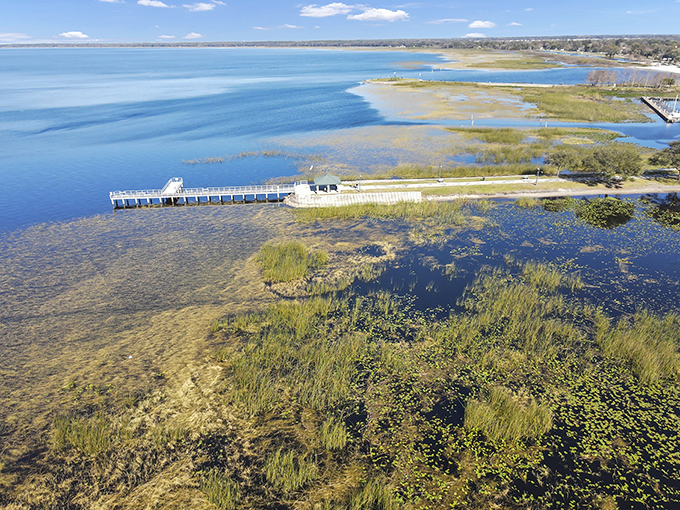 From above, East Lake Tohopekaliga reveals its true vastness, a patchwork of blue waters, green marshes, and community connections.