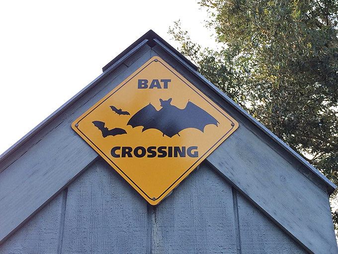 Bat Crossing &ndash; perhaps the most honest traffic sign in Florida, warning visitors they're entering a superhighway of the winged variety.