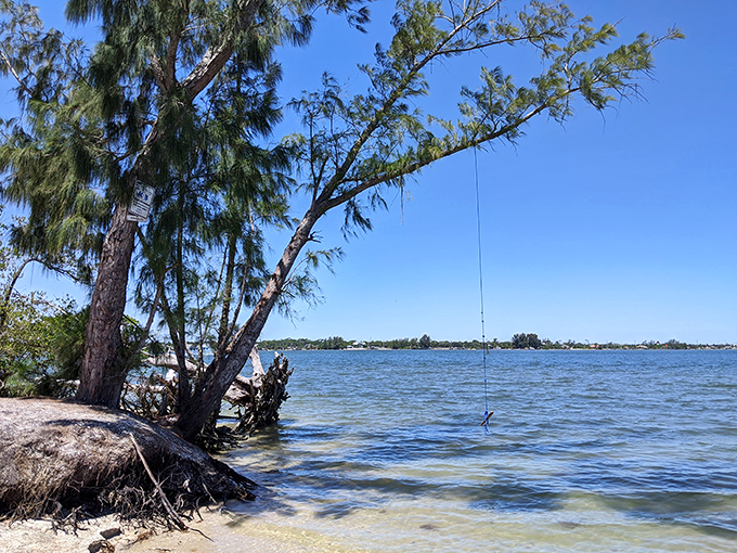 A rope swing dangles invitingly over crystal waters &ndash; childhood joy suspended in time, waiting for the next brave soul.