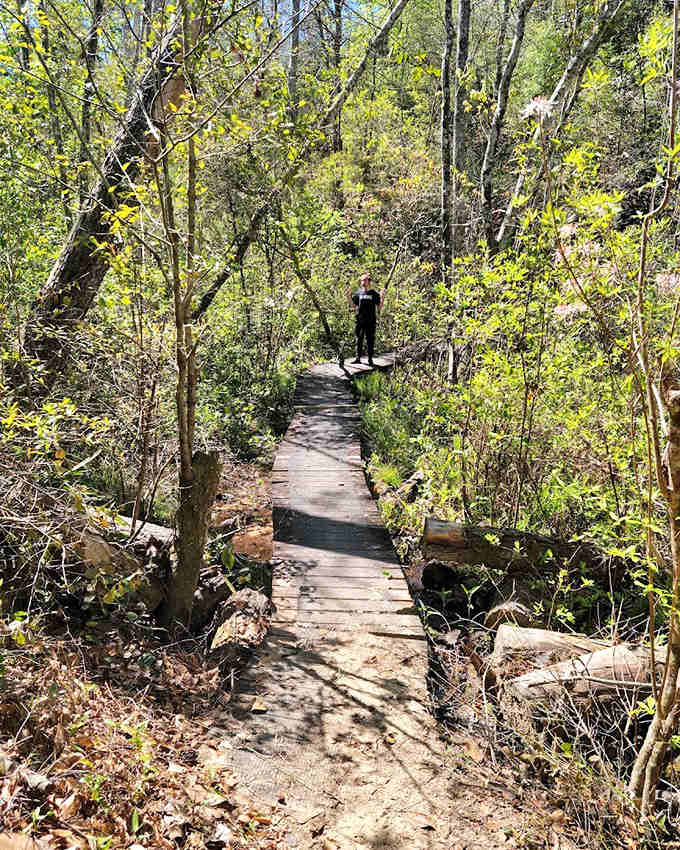 This humble boardwalk leads through a microclimate so unique it hosts plants found nowhere else in Florida &ndash; botanical VIPs only!