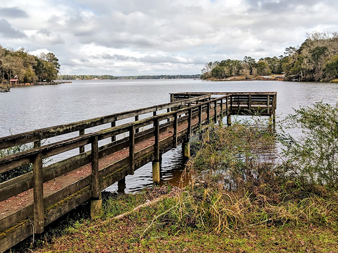 A weathered wooden pier stretches into calm waters, offering the perfect spot for contemplation or fishing.