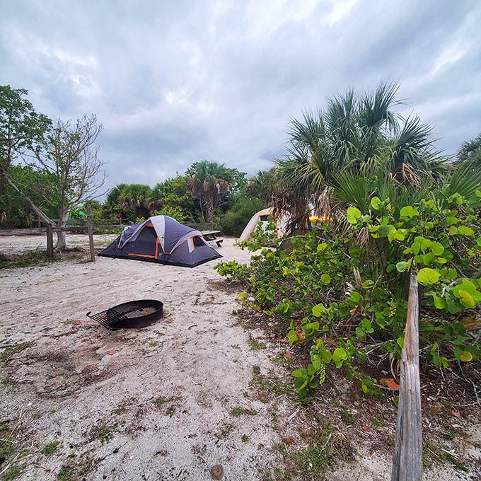 Simple tents nestled among sea grapes and palms offer the ultimate beachfront accommodations – no reservation app required.