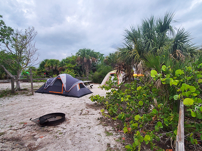 Camping doesn't get more authentic than this &ndash; where your morning alarm is a chorus of seabirds and your ceiling is a canopy of stars.