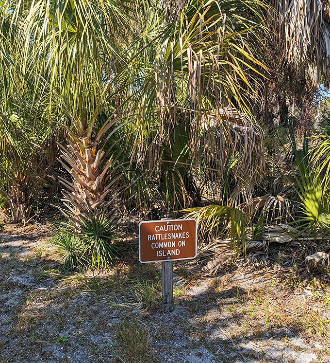 A gentle reminder that you're in wild Florida &ndash; where rattlesnakes have timeshare rights and prefer to be left undisturbed.