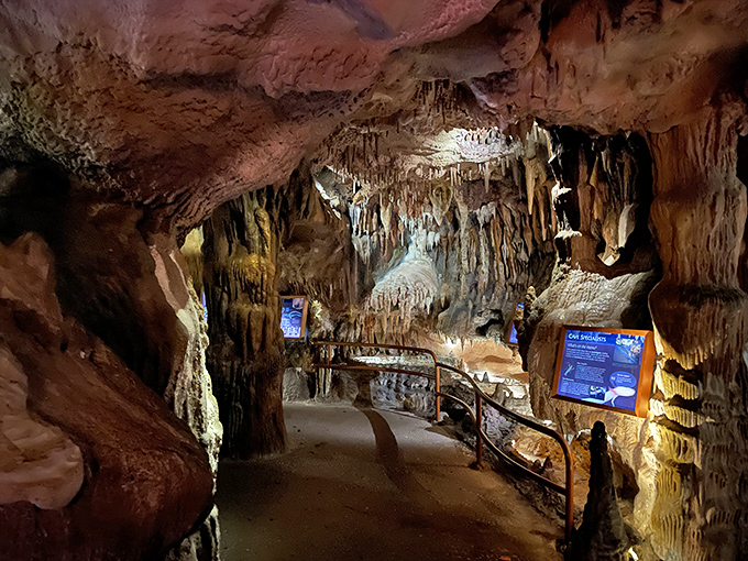 Step into Florida's underground world, where stalactites and stalagmites create a limestone cathedral that's been millions of years in the making.