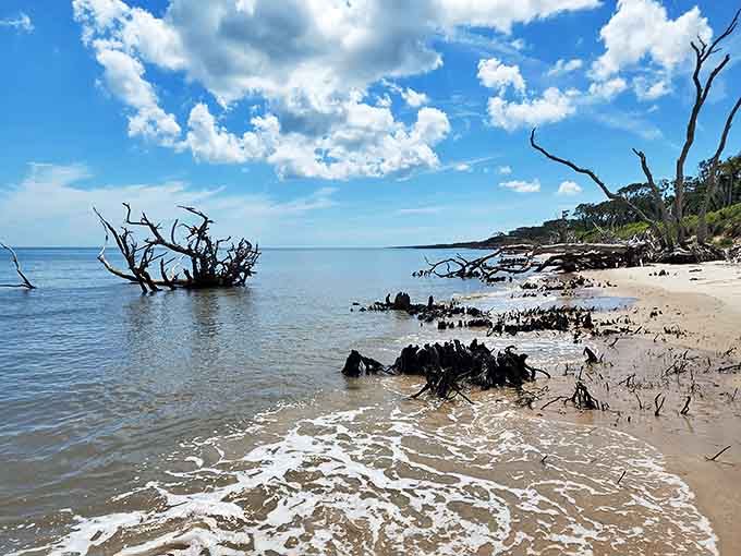 The meeting of land and sea creates a dramatic edge where fallen sentinels stand guard over the shifting tides.