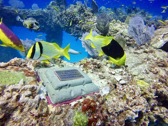 Tropical fish window-shop between memorial columns, their brilliant colors adding life to this peaceful underwater neighborhood.