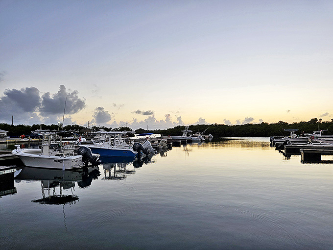 The marina at golden hour is where boats rest and people contemplate whether they really need to go back to their regular lives.