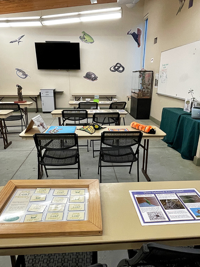 Learning doesn't always require screens. This classroom space invites curious minds to discover wildlife without Wi-Fi or batteries.