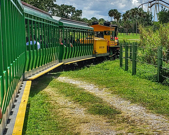 The train's open design ensures unobstructed wildlife viewing, proving sometimes the best windows are no windows at all..