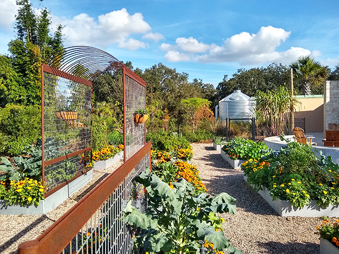 This garden plot showcases vegetables growing with such perfect organization that it puts most people's life plans to shame.