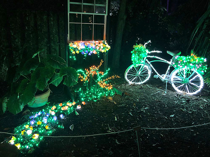 When night falls, the garden transforms into a magical light display that makes adults gasp like children.