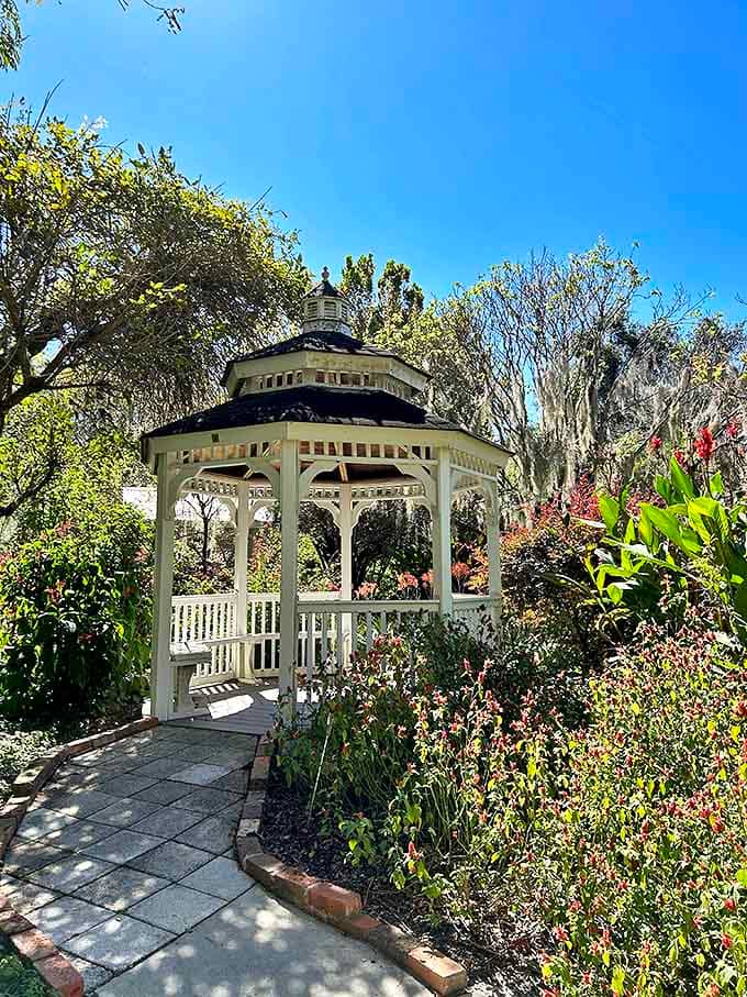 The classic white gazebo stands ready for romantic moments, having witnessed countless proposals and serving as Florida's most photogenic wedding backdrop.