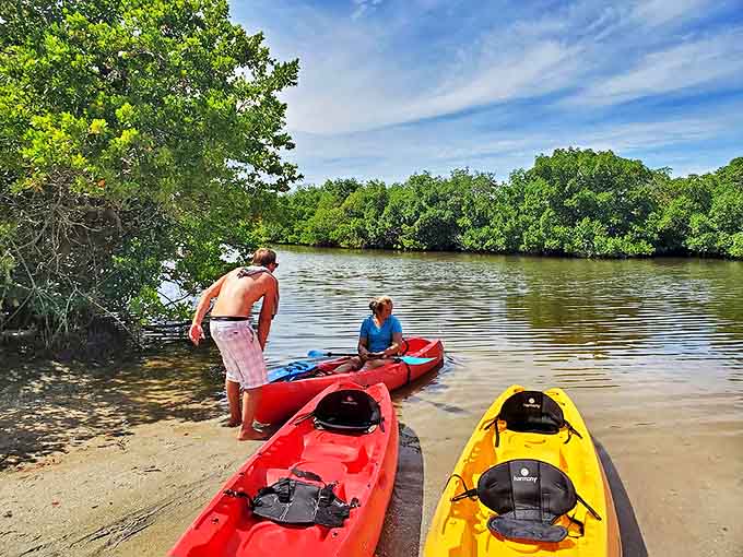 Kayaking through mangrove tunnels feels like discovering secret passages in nature's mansion. These paddlers are explorers in a wild water maze.
