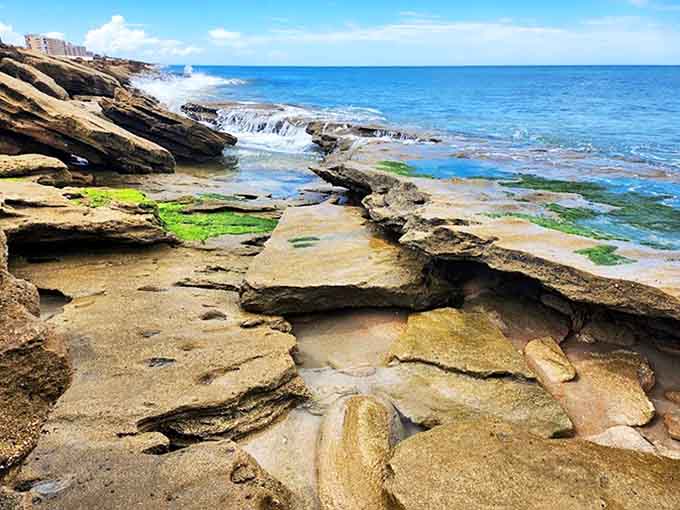 Geological layer cake: Centuries of compressed shells and sediment create these fascinating striations &ndash; Earth's own history book written in stone.