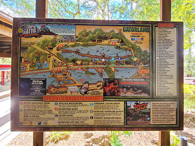 Not your average theme park map! This colorful guide reveals a wonderland of scaly adventures, from gator jumparoos to swamp walks.