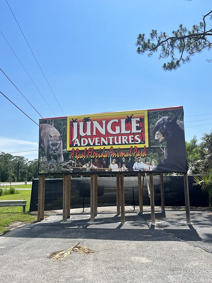 The roadside signage beckons travelers with promises of adventure and encounters with Florida's most famous toothy residents.