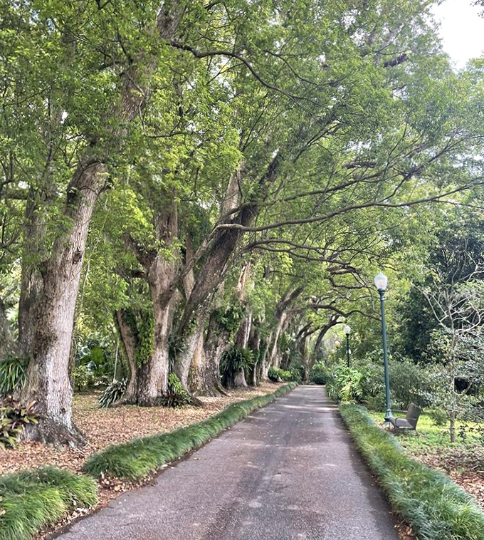 The garden's paved pathways offer accessibility without sacrificing beauty, inviting visitors of all abilities to explore its wonders.