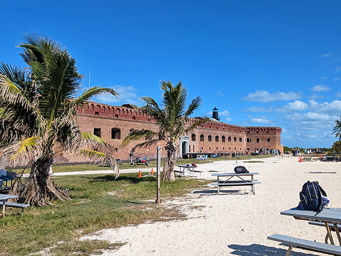 Picnic tables with million-dollar views await beneath swaying palms &ndash; possibly the most scenic lunch spot in the entire national park system.