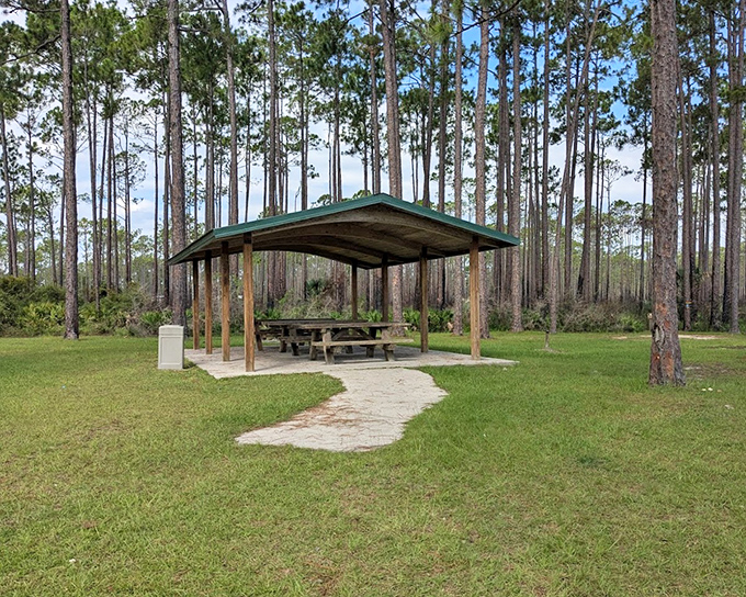 This humble picnic pavilion might not look like much, but it's hosted more memorable family meals than many five-star restaurants.