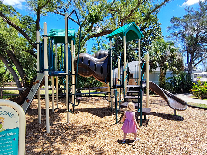 Little adventurers find big joy at this playground, where the laughter of children competes with the splash of nearby springs.