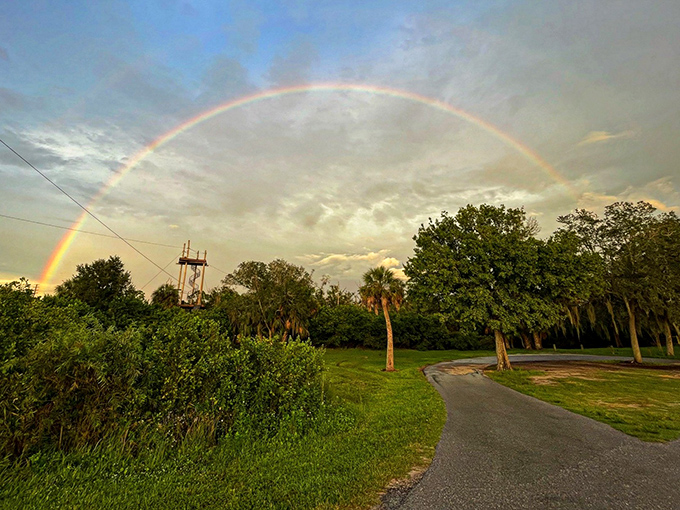 Mother Nature's seal of approval: a perfect rainbow arching over the course, as if to say "Good choice on the zip line instead of another beach day."