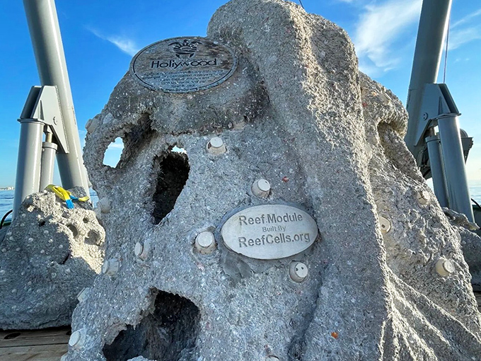 Engineering meets art &ndash; each reef module features design elements that encourage coral attachment and fish habitation.