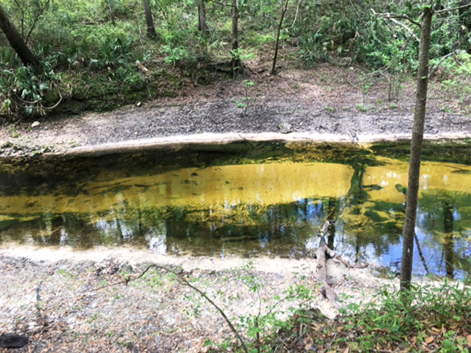 Shallow waters flow over ancient limestone, creating a brief but energetic river that vanishes as quickly as it appears.