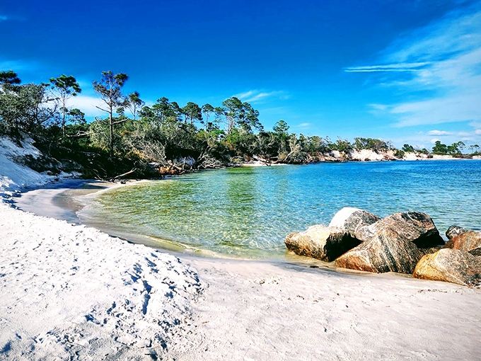 Crystal clear waters reveal an underwater world where fish conduct their daily business, oblivious to the human observers floating above.