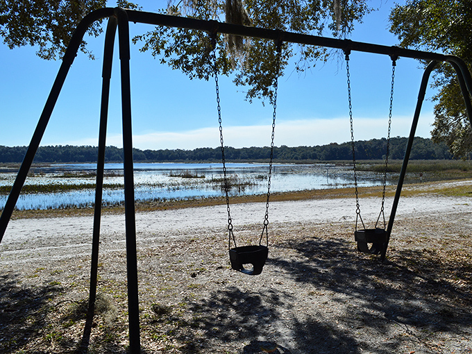 Empty swings sway gently by the lakeside, patiently waiting for the laughter of children to bring them to life.