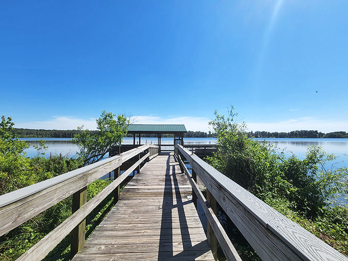 This covered deck offers the perfect vantage point for lake-watching, where patience rewards visitors with glimpses of aquatic life.