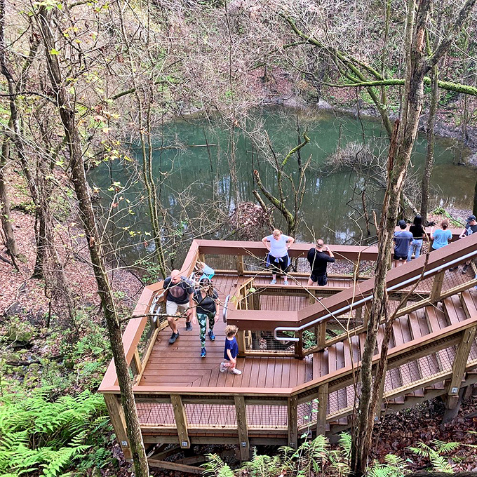 Multi-level viewing platforms transform sightseers into scientists as they observe this remarkable limestone cathedral carved by nothing more than water and time.