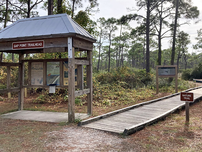 Adventure awaits: The Gap Point Trailhead marks the beginning of journeys through maritime forests and coastal ecosystems.