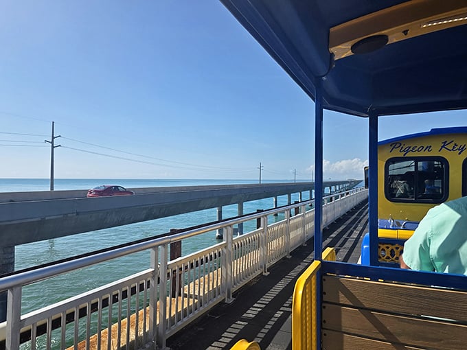 Fellow travelers soak in the panoramic views from their open-air carriage, the shared experience creating a temporary community of adventurers.
