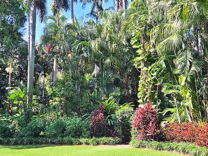 Sunlight filters through a cathedral of palms, creating a natural sanctuary where visitors can breathe in the oxygen-rich tropical air.