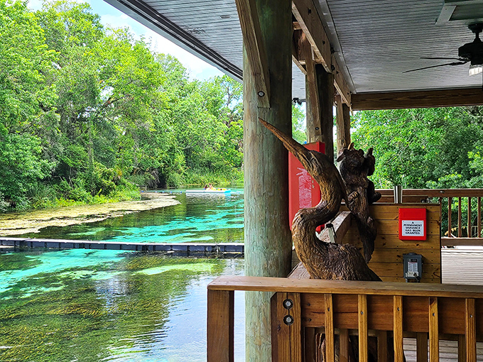 Not Photoshopped &ndash; just Florida showing off. The clear blue water creates an optical illusion where fish appear to fly rather than swim.