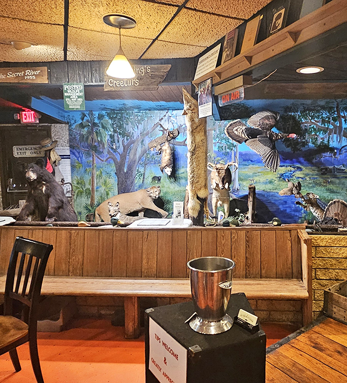 Taxidermy displays create a natural history museum atmosphere, showcasing Florida wildlife against hand-painted murals of the local landscape.
