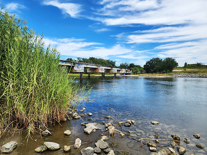 The waterway flows peacefully beneath the artistic chaos above, nature and human expression coexisting in perfect harmony.